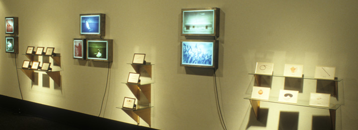 Focalization: 13 Viewpoints - Gallery 400
